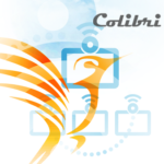 Video Conferência – Os Serviço de Tecnologias, Informação e Comunicação